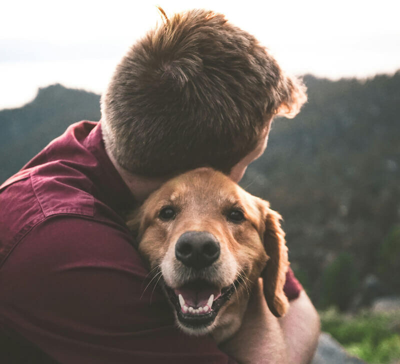 Hillsboro Veterinary Clinic in Hillsboro, OR | Comprehensive Veterinary ...